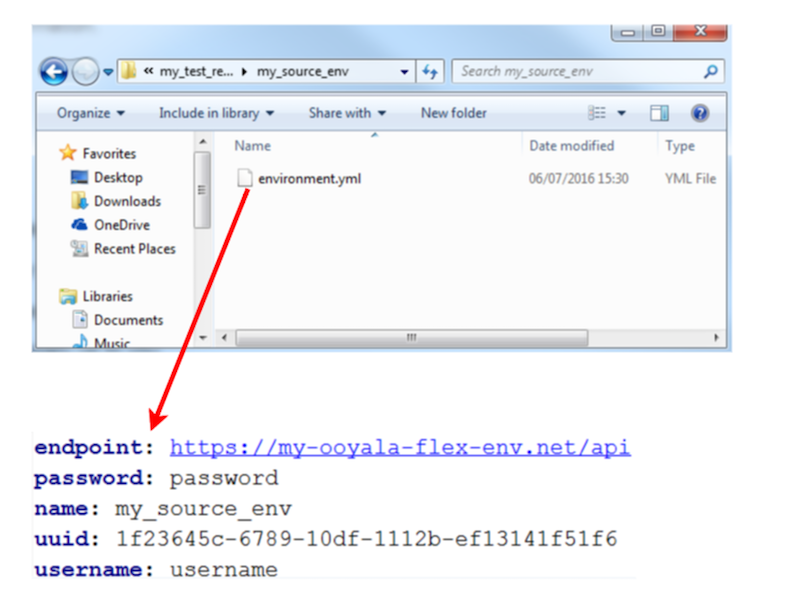 Install and Setup :: Dalet Flex Documentation