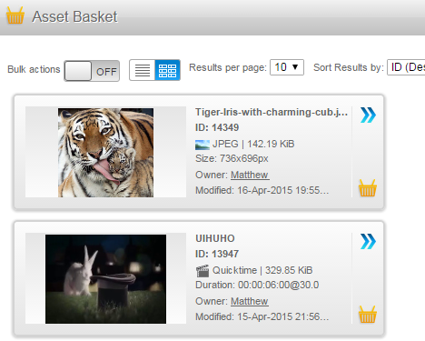 Asset Basket :: Dalet Flex Documentation