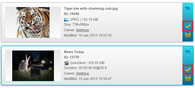 Asset Basket :: Dalet Flex Documentation