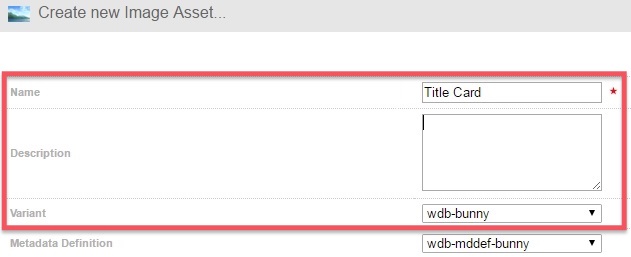 Creating Assets :: Dalet Flex Documentation