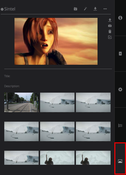 Manage Asset View :: Dalet Flex Documentation