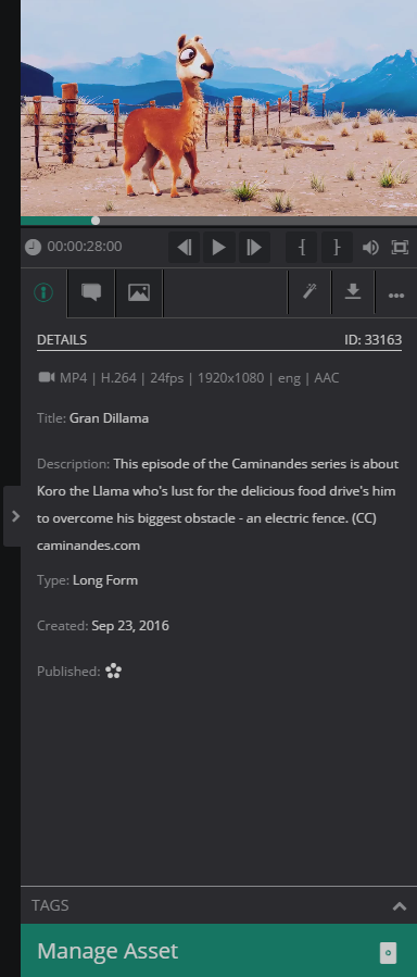 The Interface :: Dalet Flex Documentation