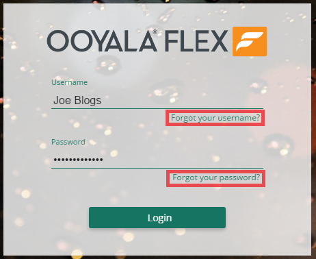 The Interface :: Dalet Flex Documentation