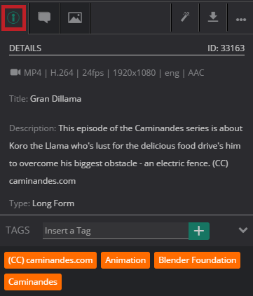 Media Assets Summary Panel :: Dalet Flex Documentation