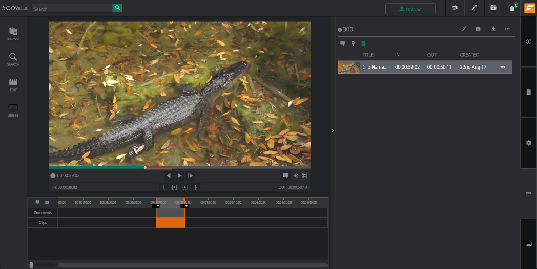 Clips :: Dalet Flex Documentation