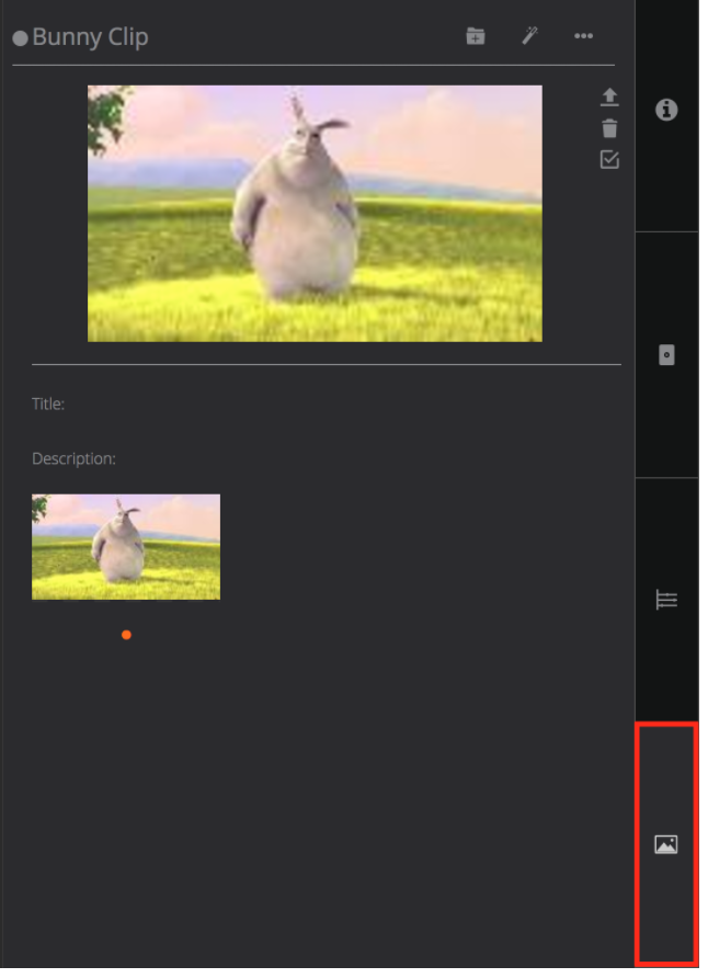 Manage Clip :: Dalet Flex Documentation