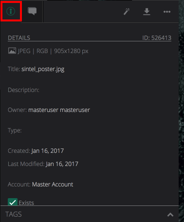 Image Asset Summary Panel :: Dalet Flex Documentation