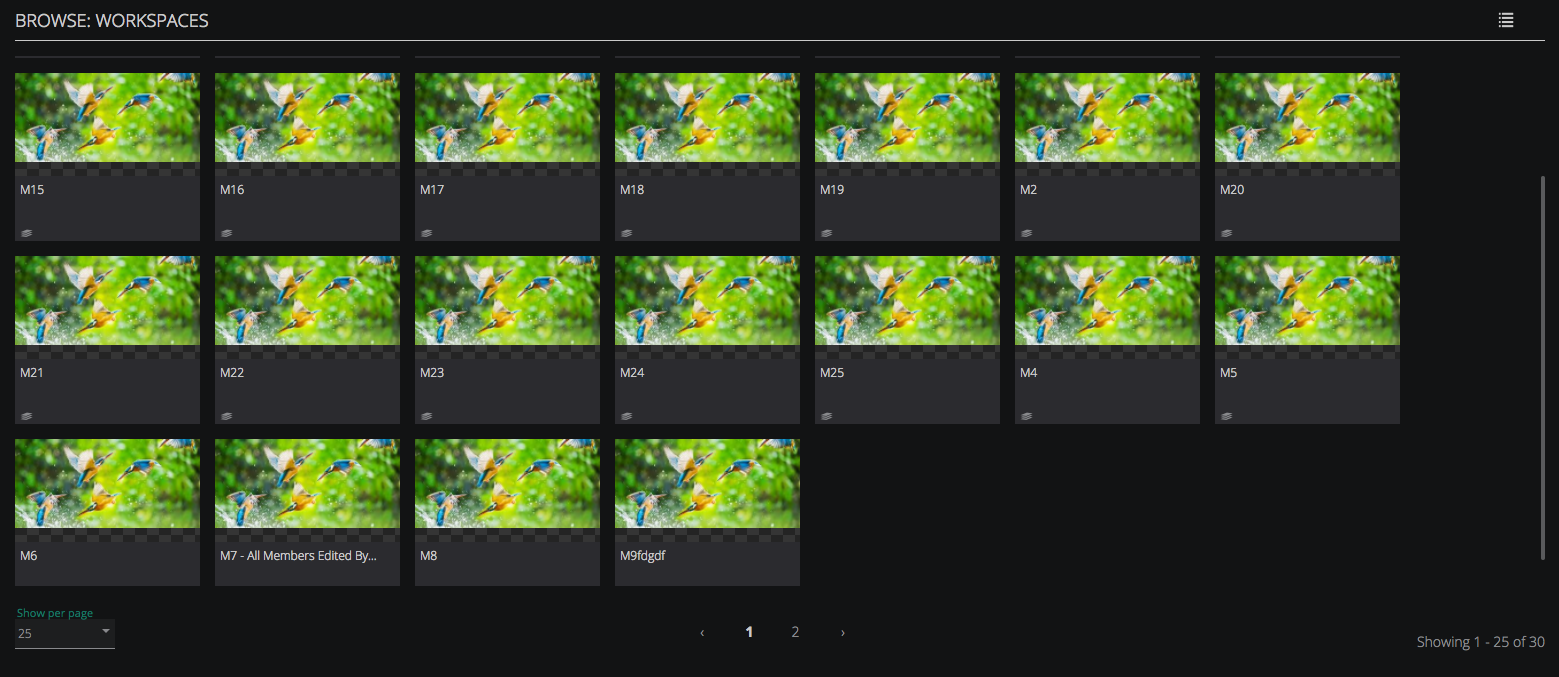 Workspaces :: Dalet Flex Documentation