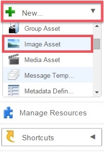 Creating Assets :: Dalet Flex Documentation