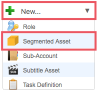 Segmented Asset :: Dalet Flex Documentation