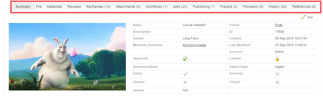 Object Details :: Dalet Flex Documentation