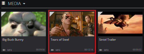 Creating a Collection :: Dalet Flex Documentation