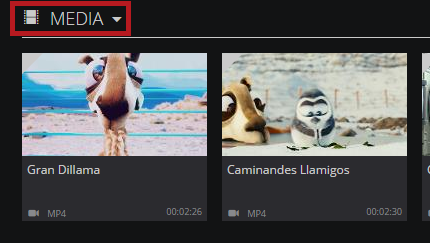The Interface :: Dalet Flex Documentation