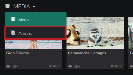 The Interface :: Dalet Flex Documentation